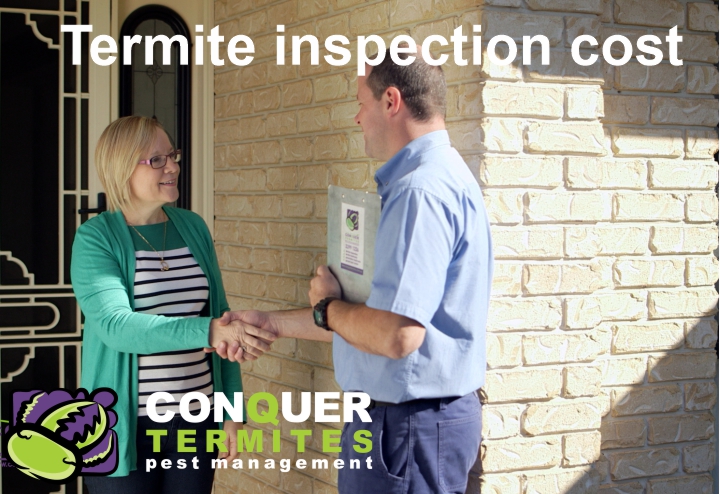 How much does a Termite Inspection cost - Brisbane 2023 | Conquer ...